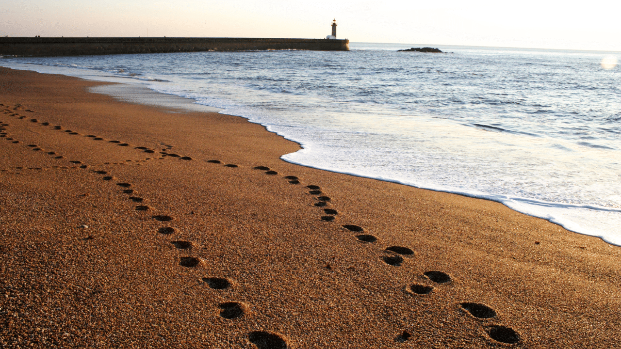 Staying Within Boundaries | Living Hope